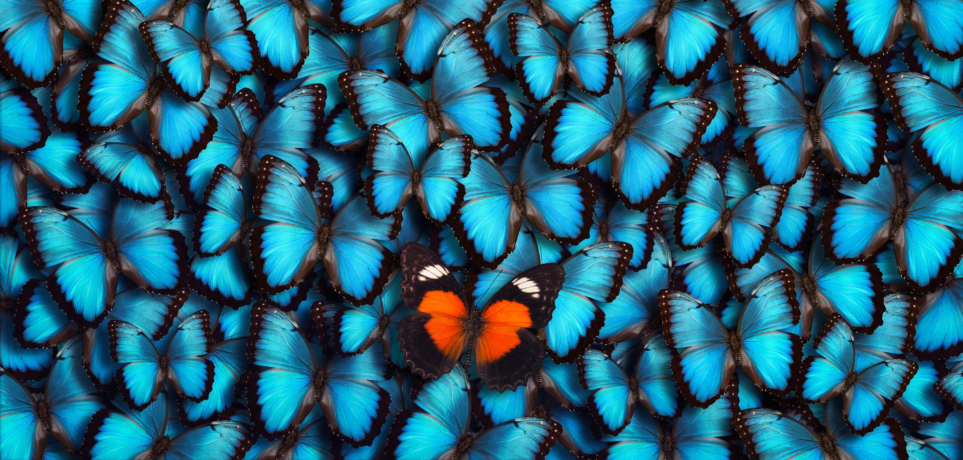 The making of a female leader: Kathryn Herrick’s story - Eton Bridge ...