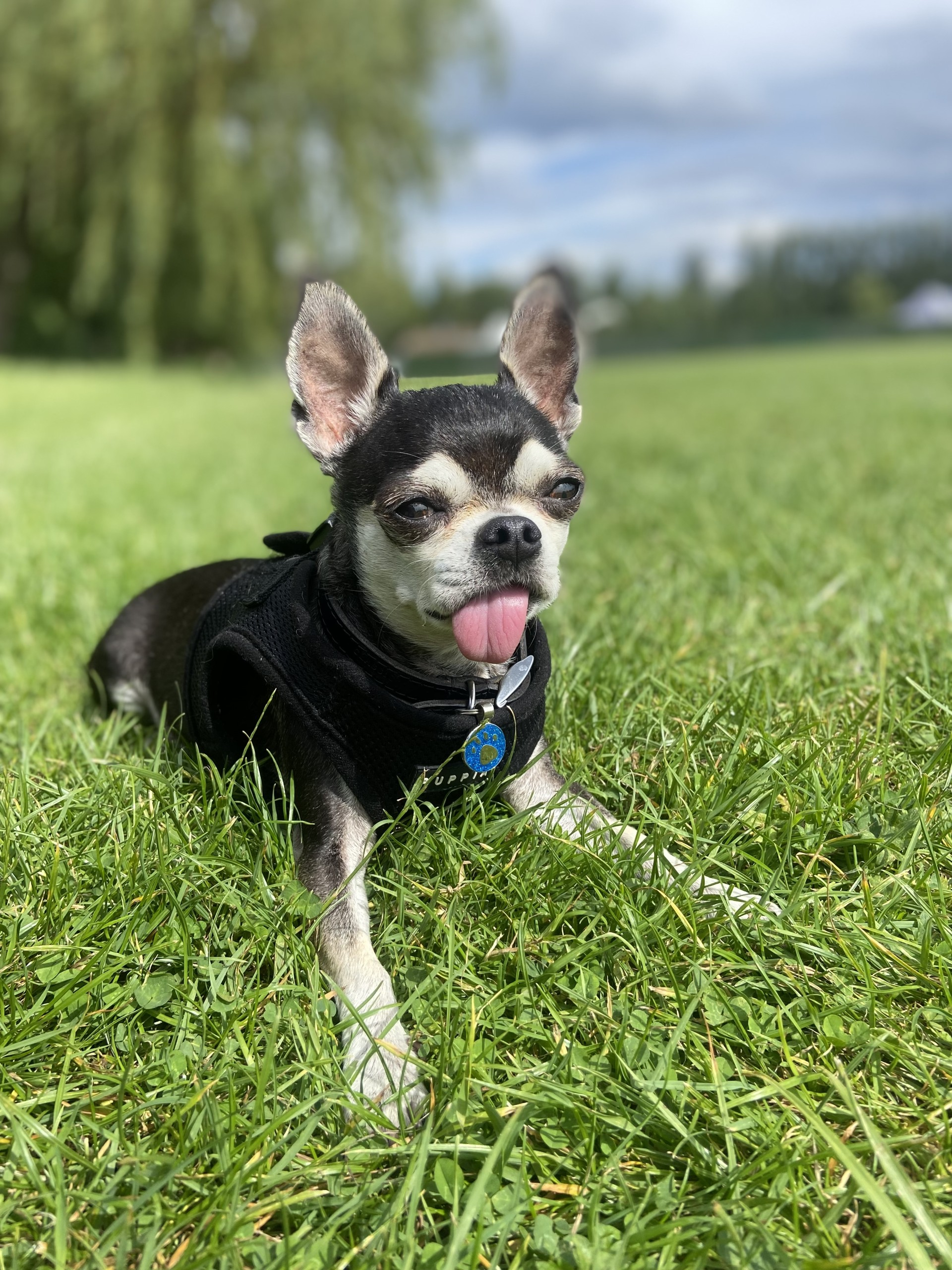 Lucy Jezzard - CEO Practice - Eton Bridge Partners