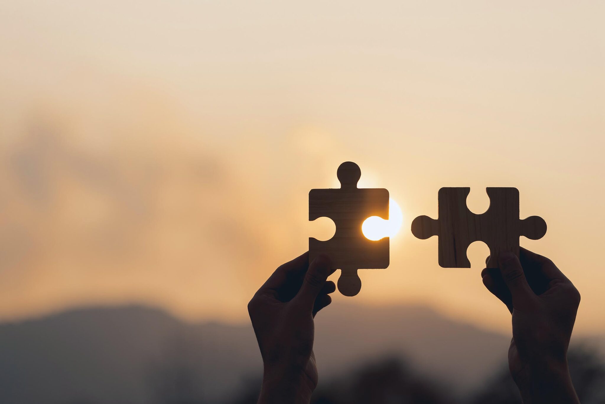 The Critical Relationship Between The Ceo And Cpo For An Organisations Success Eton Bridge